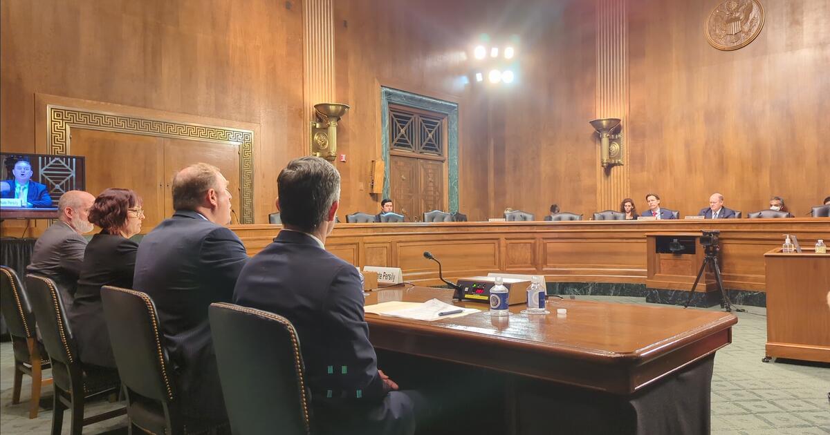 Nate Persily and Daphne Keller Give Testimony on Platform Regulation | FSI