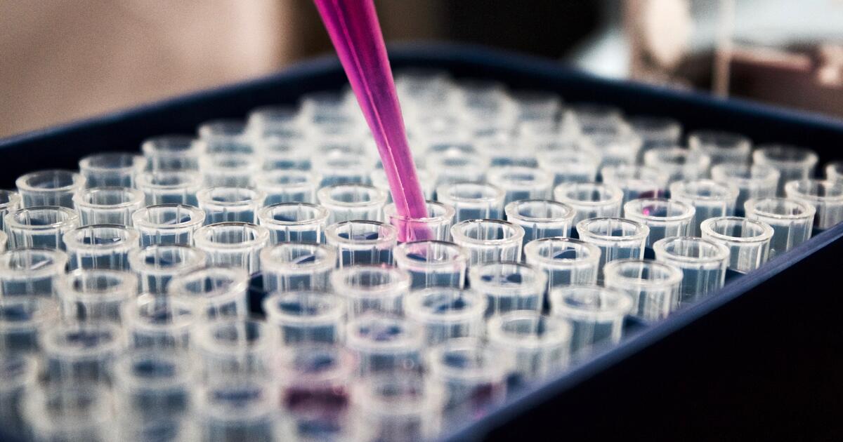 A New System to Encourage Greater Inclusion in Drug Research | FSI