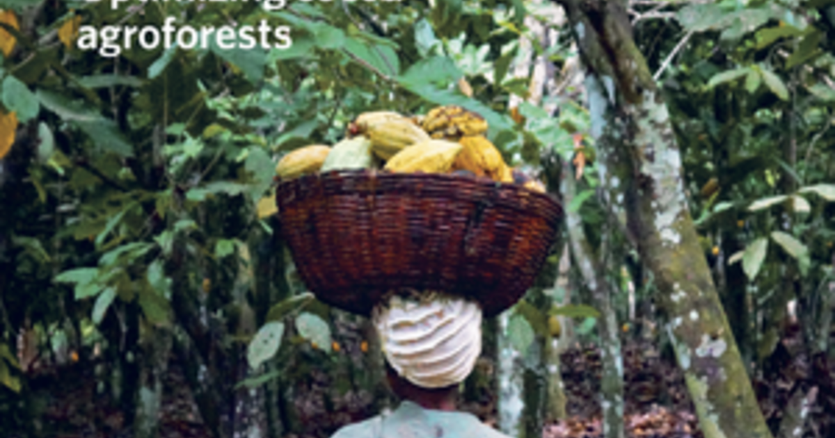 Unprecedented rates of land-use transformation in modelled climate ...