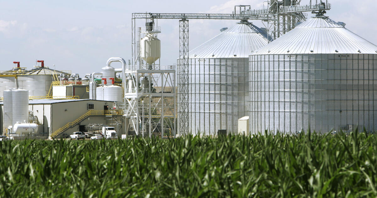 Biofuels: The changing nature of agricultural demand | FSI