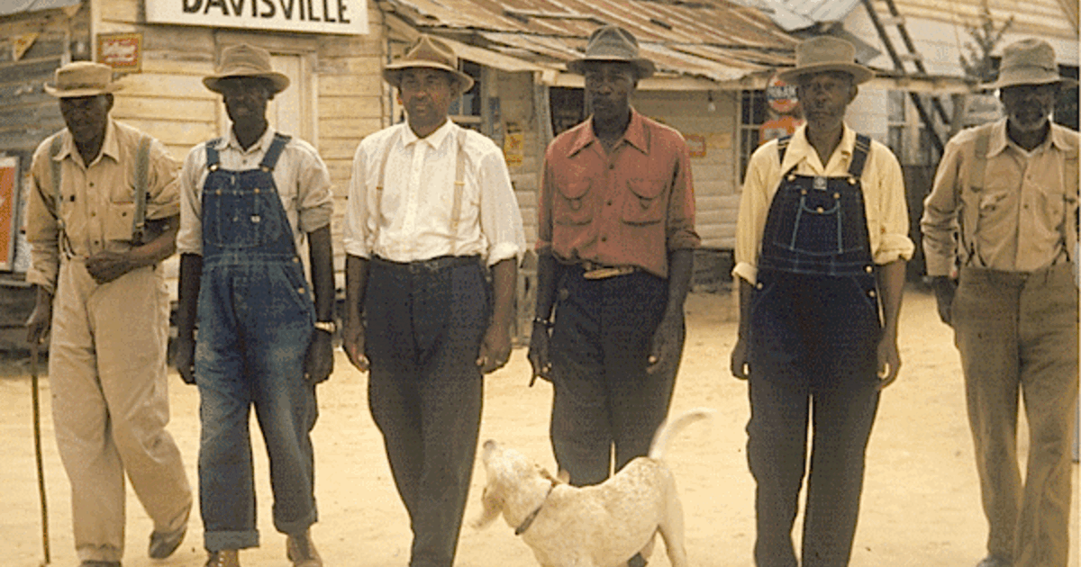 Marcella Alsan wins Arrow Award for research on medical legacy of ...