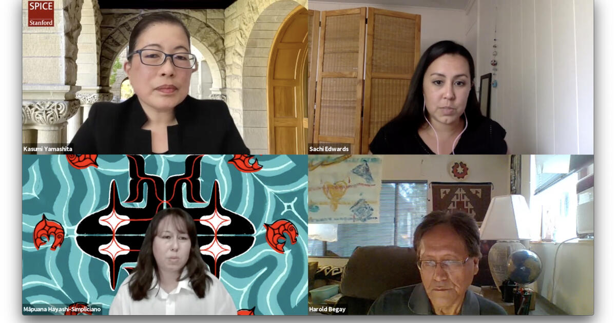 Indigenous Voices: Educational Perspectives from Navajo, Native ...