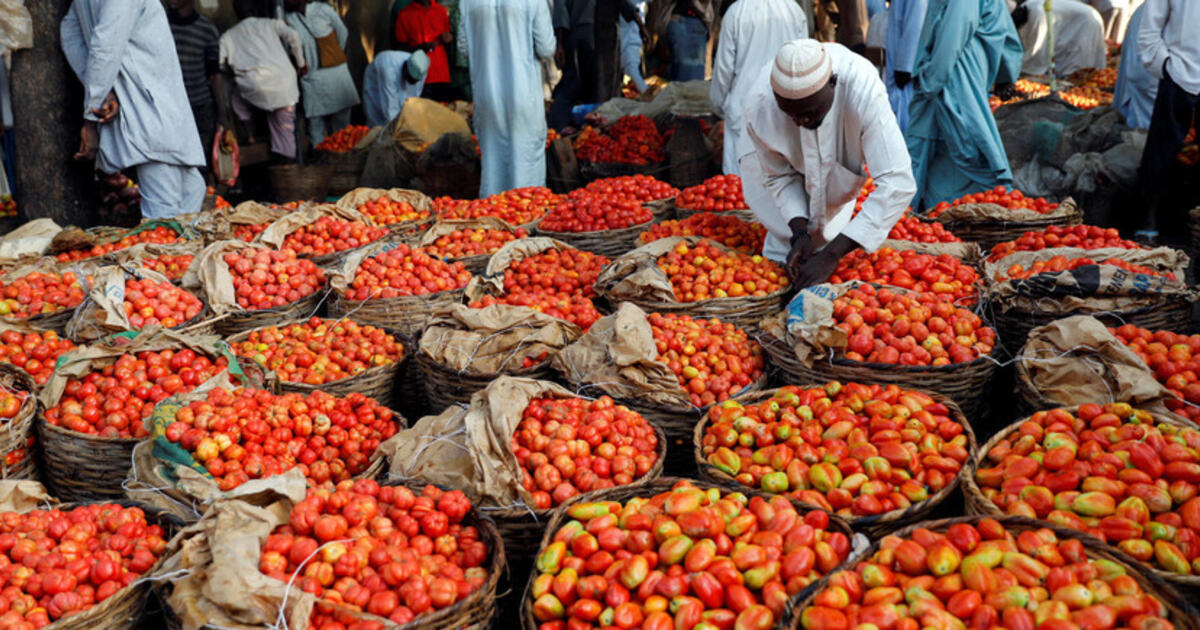 Food system failures in our age of abundance | FSI